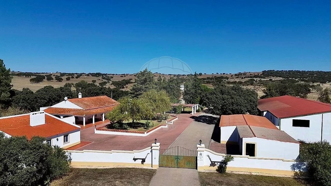 Quinta T4 For Sale In évora In Evora, évora District, Portugal For Sale ...