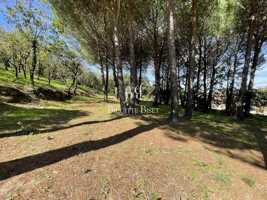 Le Plan De La Tour Land In Le Plan De La Tour, France For Sale (14767705)