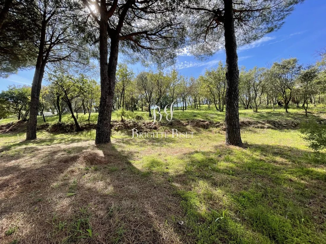 Le Plan De La Tour Land In Le Plan De La Tour, France For Sale (14767705)