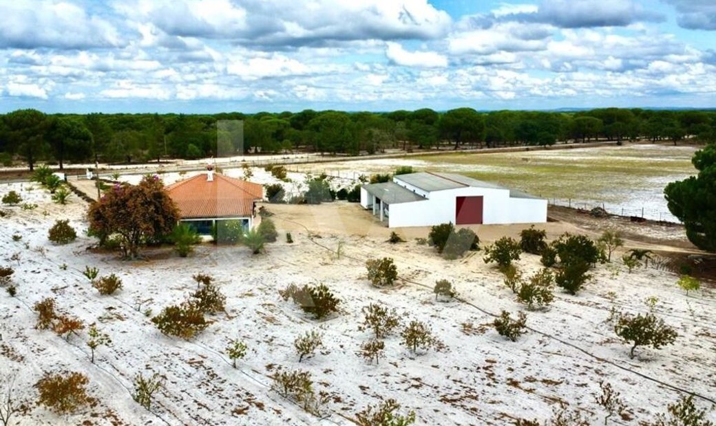 Alcácer Do Sal Farm In Alcácer Do Sal, Portugal For Sale (14770556)