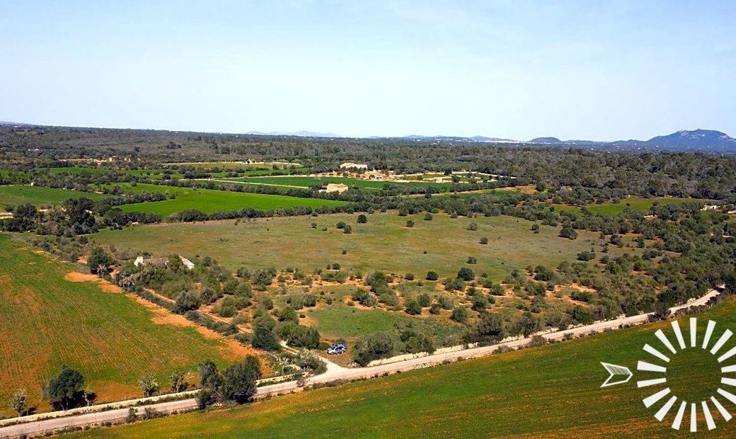 Campos Country Estate In Campos, Spain For Sale (14773821)