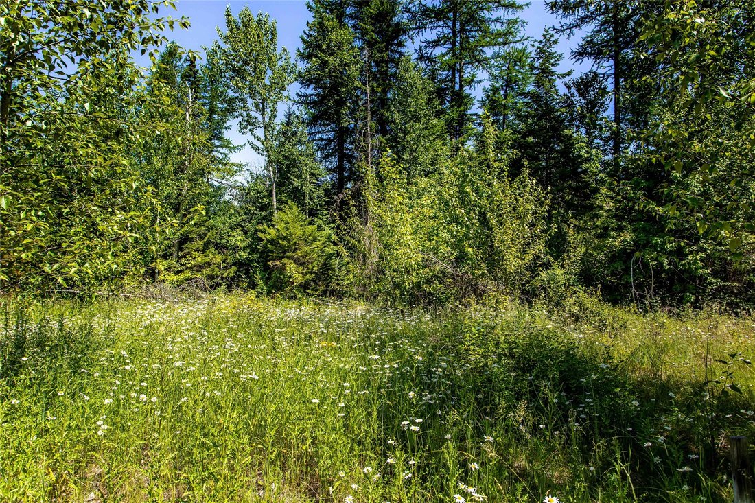 Orvis Evans Lot 35 In Bigfork, Mt, United States For Sale (14774374)