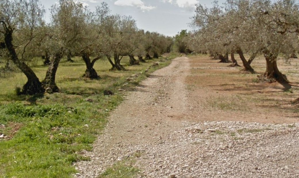 Finca Rústica Venta Castellón In Canet Lo Roig, Valencian Community ...