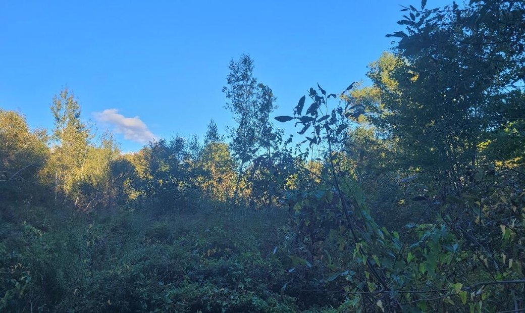Lots And Land Cumberland In Cumberland, Maine, United States For Sale ...