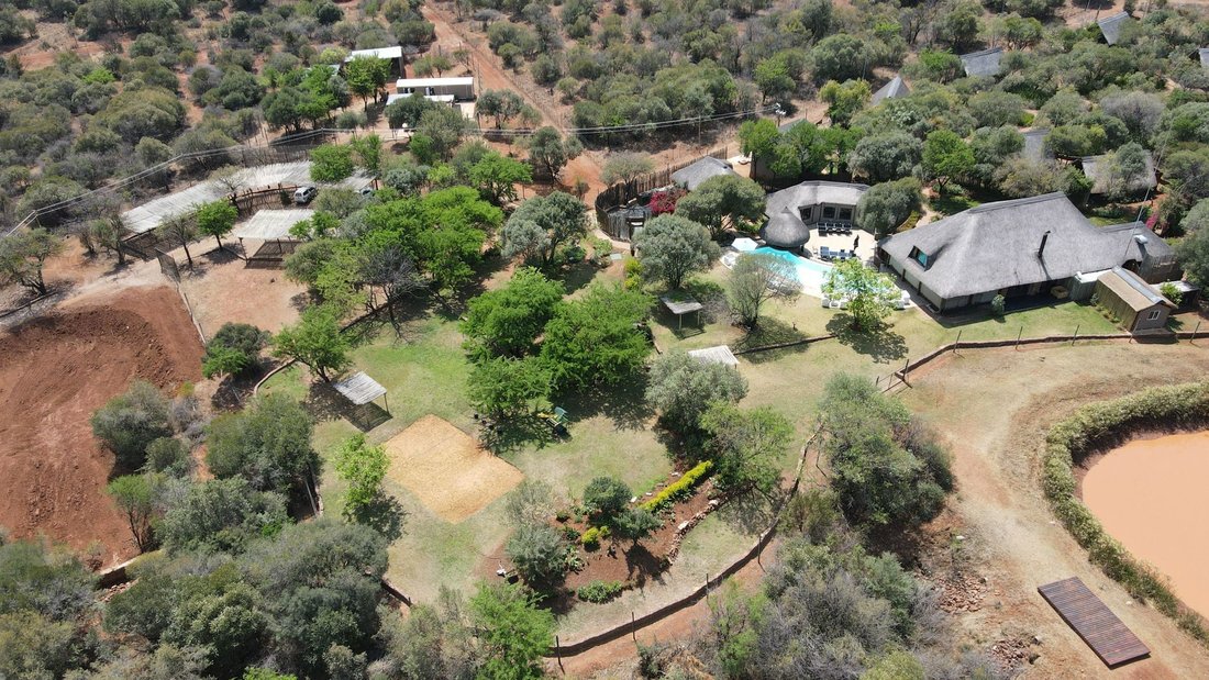 Game Farm Between Rustenburg And In Maanhaarrand, North West, South ...