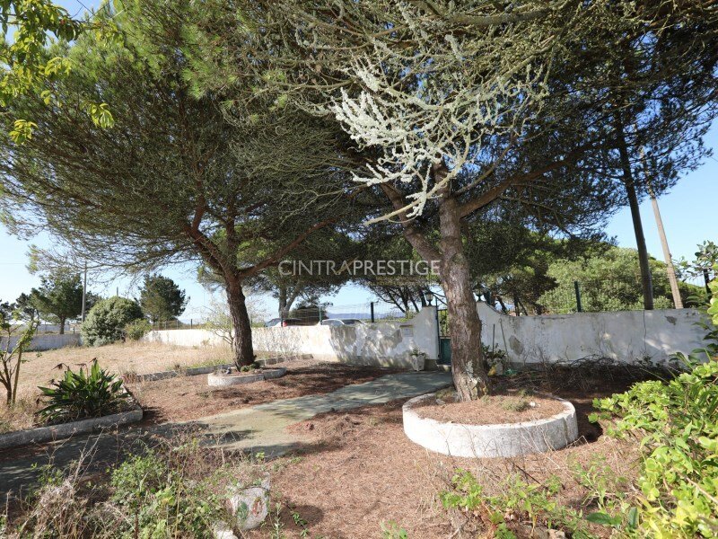 Alfaquiques . Farm In Sintra With A 3 Bedroom Single Storey In Sintra ...