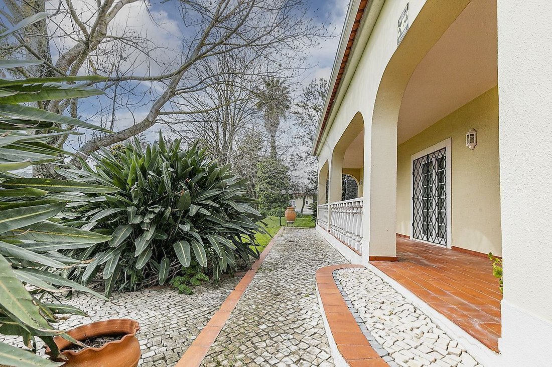 In Harmony And The Serenity Of Country Life, Just In Palmela, Setubal ...