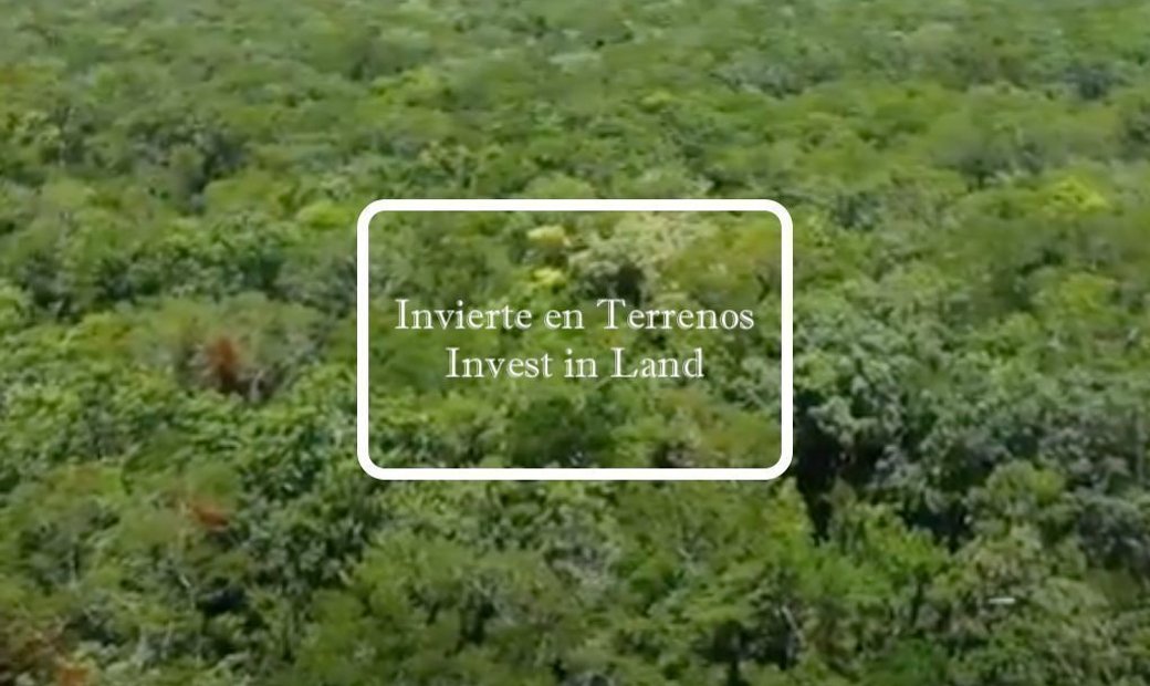 Terreno Multifamiliar En Venta En Tulum, Region In Tulum, Quintana Roo ...