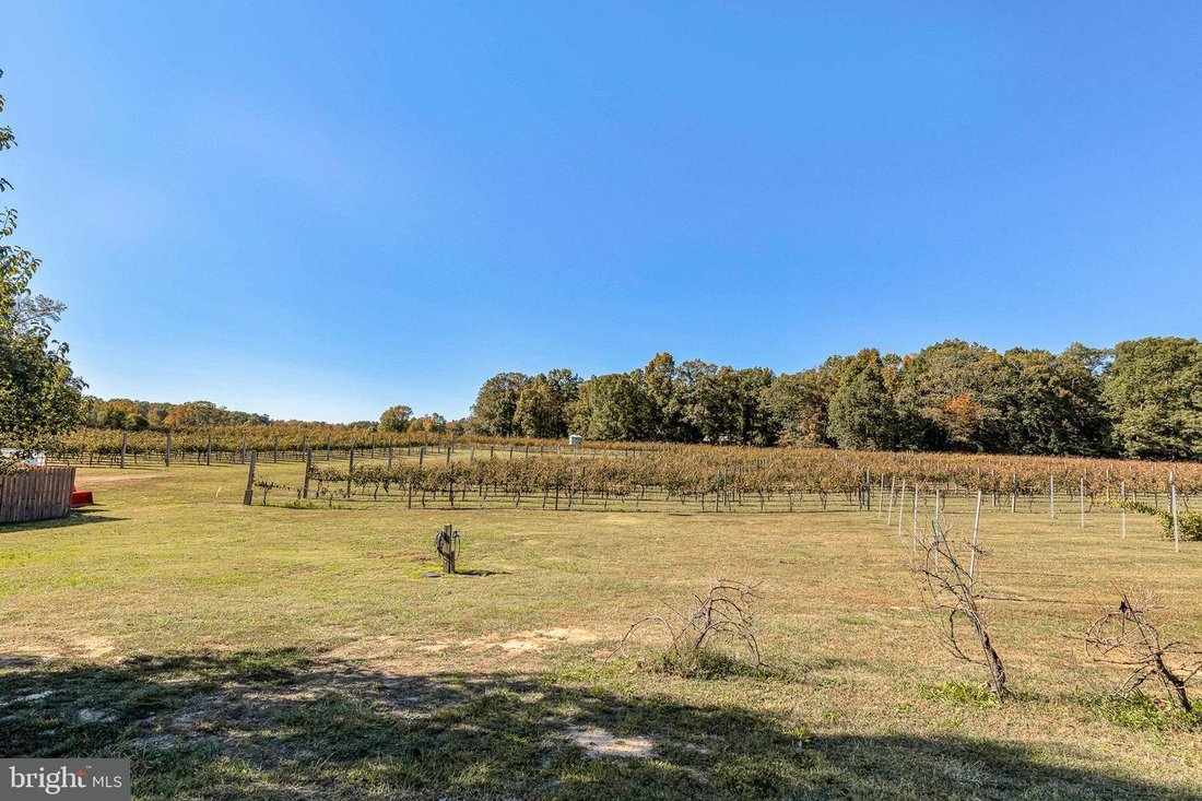 Custom Built Estate On Private Acres In Doswell, Virginia, United ...