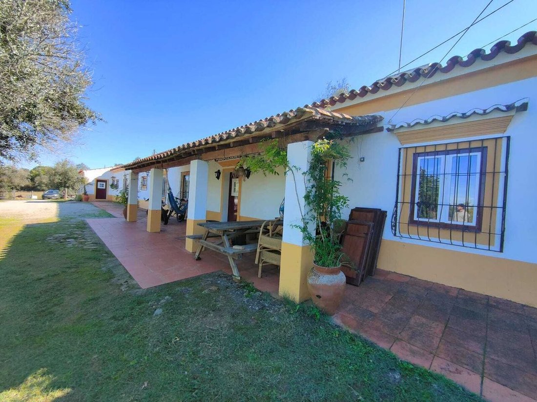Alentejo Farm For Horses T4+1 In Alcáçovas, évora, Portugal For Sale ...