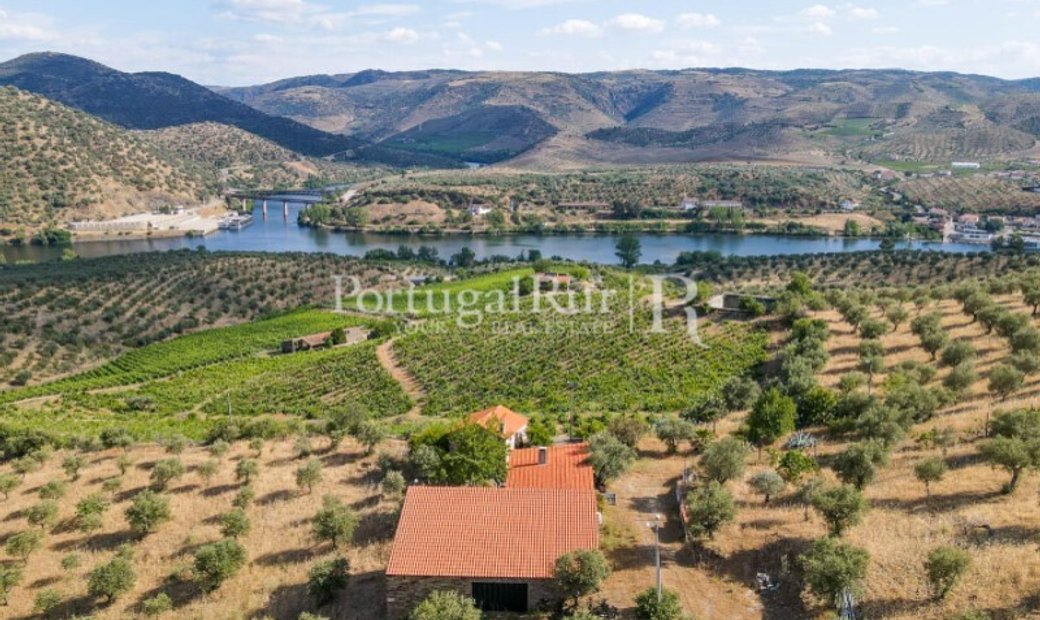 Farm In Barca D'alva In Figueira De Castelo Rodrigo, Guarda District ...