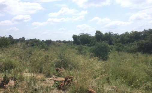 Luxury farm ranches for sale in Mandela Village, Hammanskraal, Gauteng ...