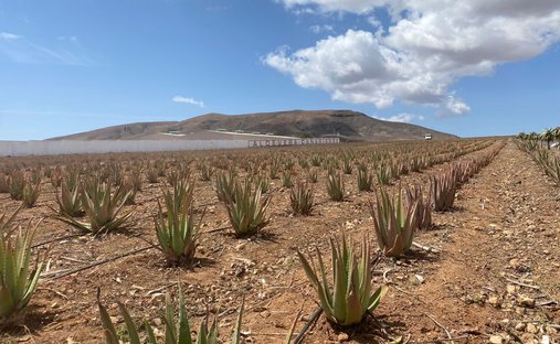 Land for Sale in La Antigua, Castile and León, Spain