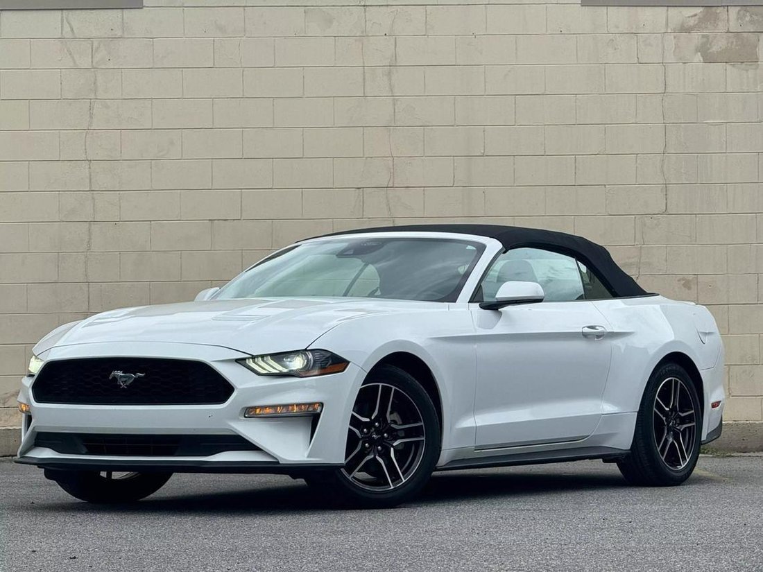 2022 Ford Mustang In Orlando, Fl, United States For Sale (14917494)