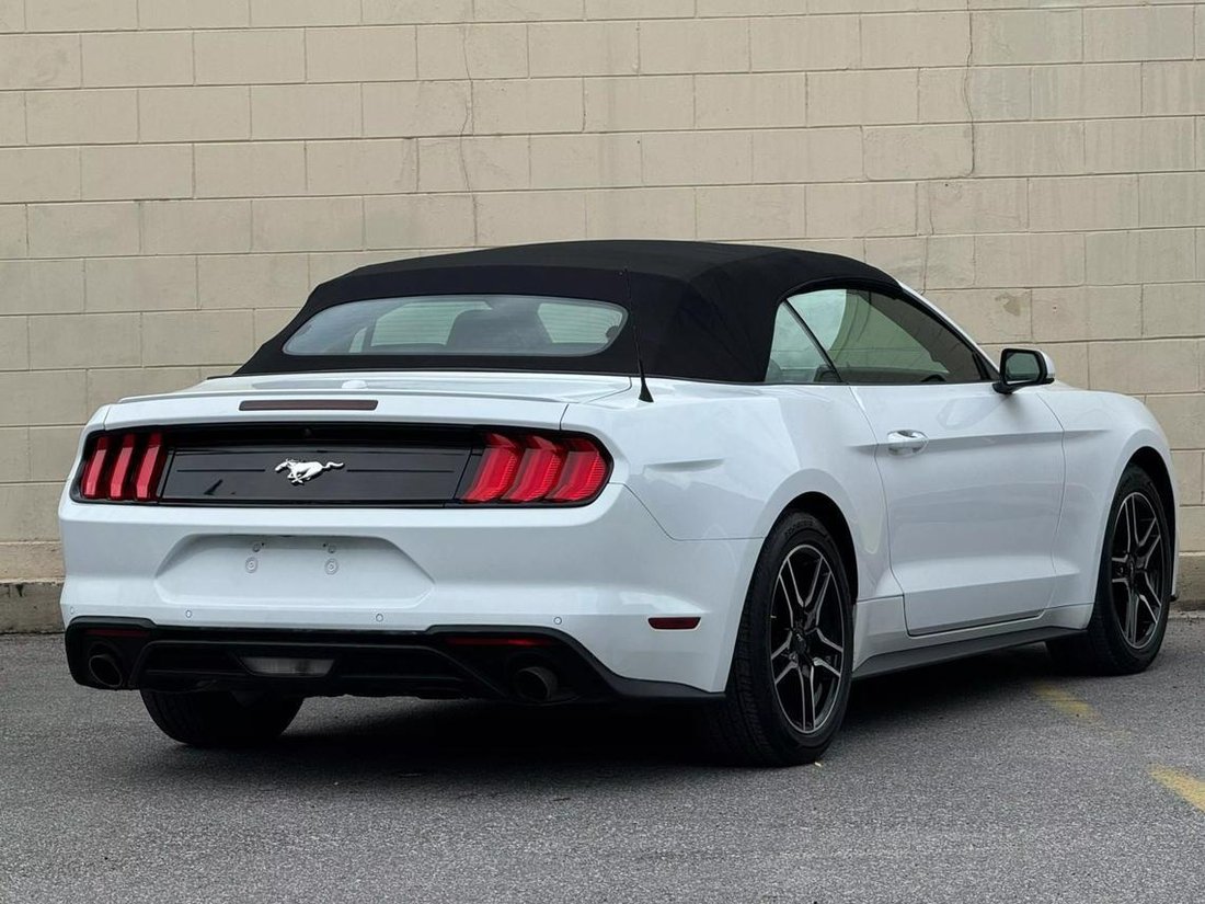 2022 Ford Mustang In Orlando, Fl, United States For Sale (14917494)