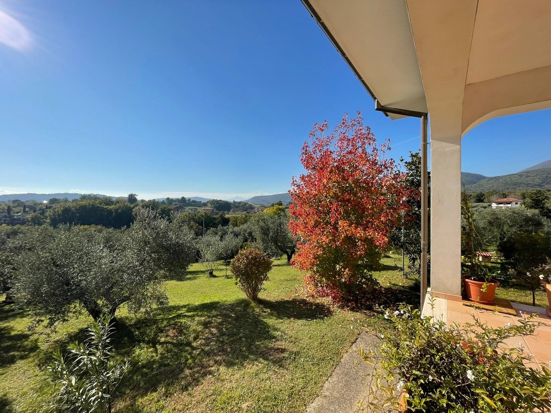 Modern Villa Set Amidst Olives And Fruit Trees In Lazio, Italy For Sale ...