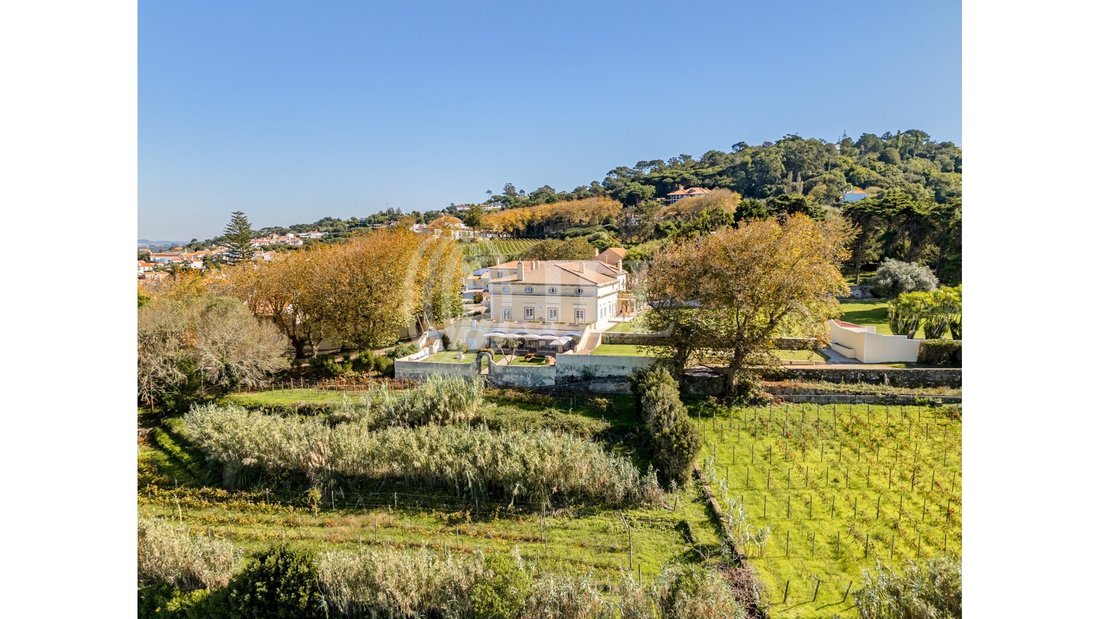 Farm 14 Bedrooms Sale Sintra In Sintra, Lisbon, Portugal For Sale ...