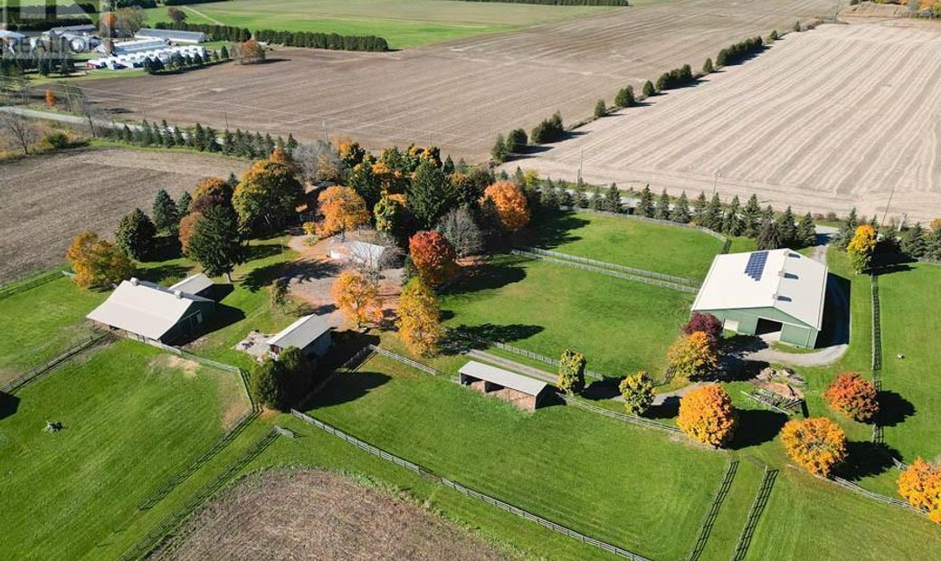 Golden Village Sunflower Farm In Brant, Ontario, Canada For Sale (14953444)