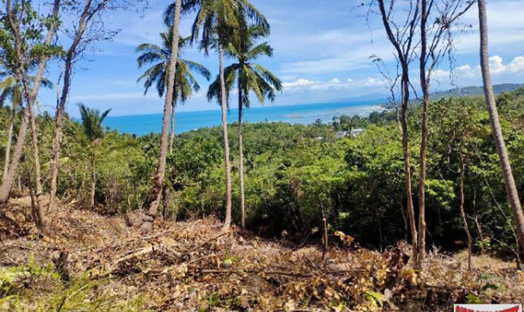 5 Rai Of Sea View Land At Lamai, Koh In Surat Thani, Surat Thani ...
