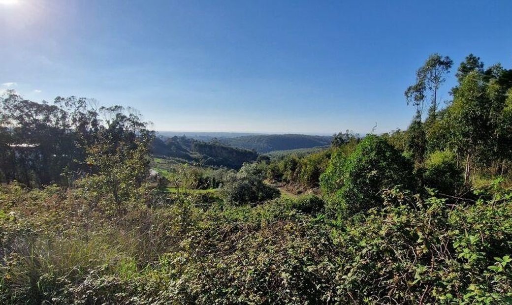 Mafra Land In Lisbon, Portugal For Sale (14965467)