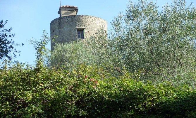 Pisa Land In Riglione Oratoio, Tuscany, Italy For Sale (14977286)