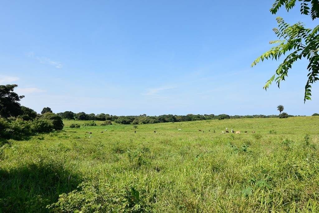 Los Santos Land In Purio, Panama For Sale (14526115)