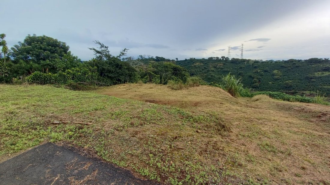 Land For Sale In Naranjo, In Naranjo De Alajuela, Alajuela Province ...