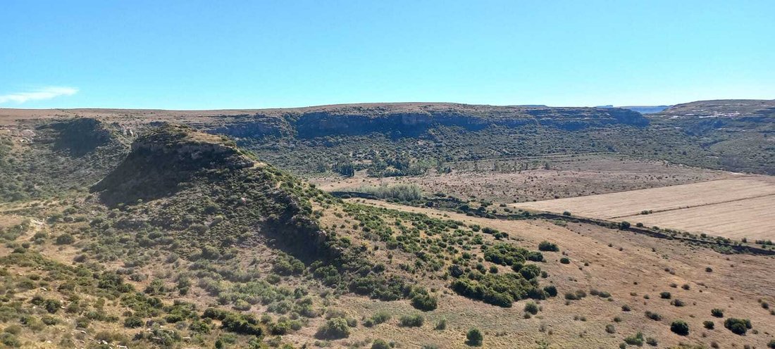 Unmatched Opportunity: Farm & Bottling In Ladybrand, Free State, South ...