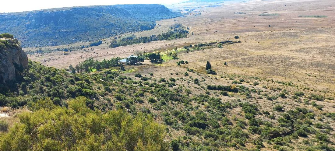 Unmatched Opportunity: Farm & Bottling In Ladybrand, Free State, South ...