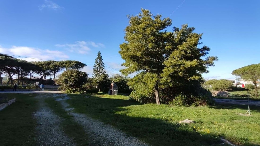 Farm/Ranch Sintra Portugal In Algueirão–Mem Martins, Lisbon, Portugal ...