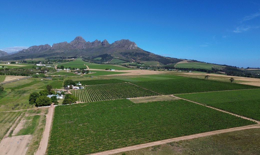 Wine Grape Farm For Sale Stellenbosch In Raithby, Western Cape, South ...