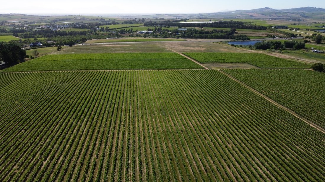 Wine Grape Farm For Sale Stellenbosch In Raithby, Western Cape, South ...