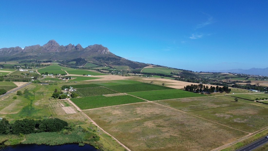 Wine Grape Farm For Sale Stellenbosch In Raithby, Western Cape, South ...