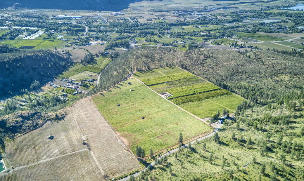 Trophy Agricultural Property In Oliver, British Columbia, Canada For ...