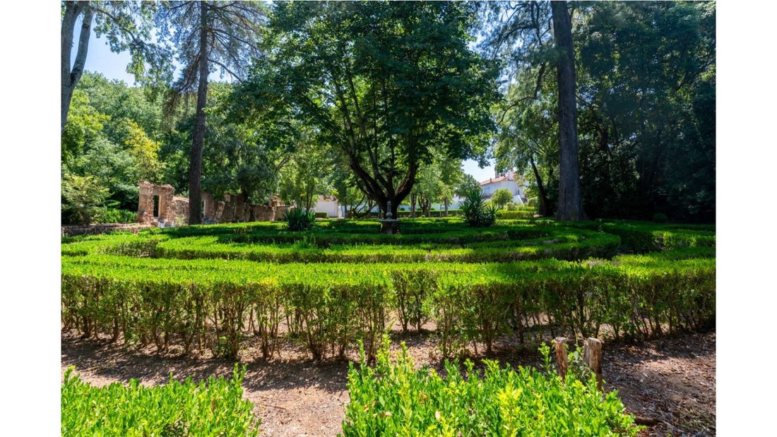 Estate In Borba, évora In Borba, évora, Portugal For Sale (15015524)