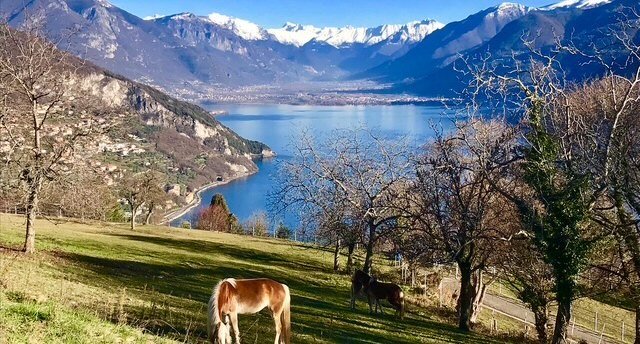 Traditional Stone Farmhouse With Stunning Lake View In Fonteno ...