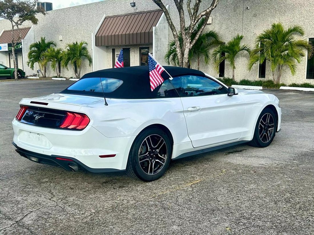 2022 Ford Mustang In Miami, Fl, United States For Sale (15021715)