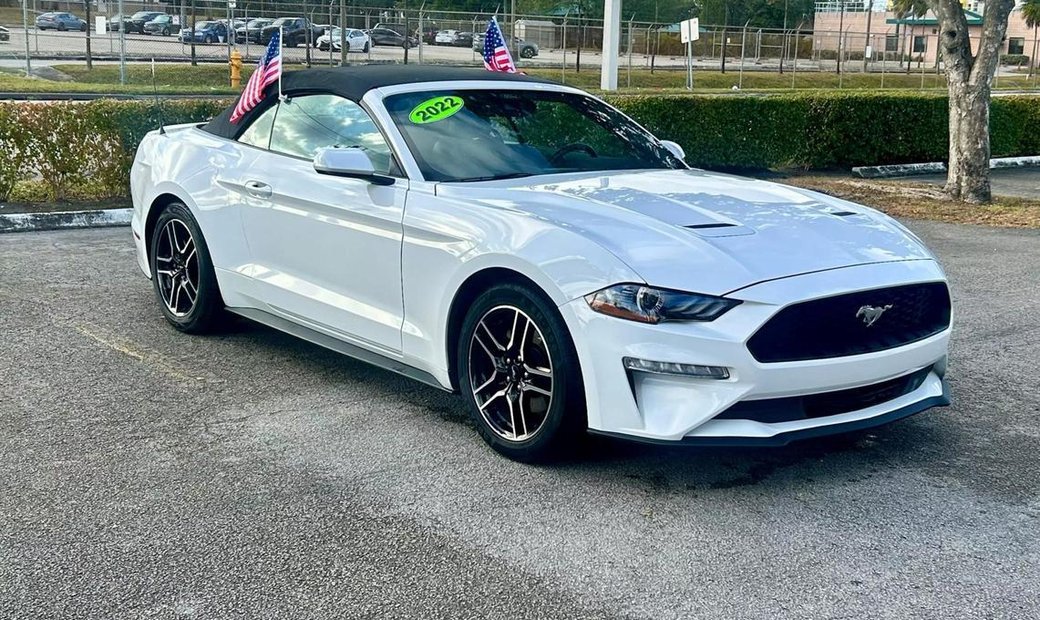 2022 Ford Mustang In Miami, Fl, United States For Sale (15021715)