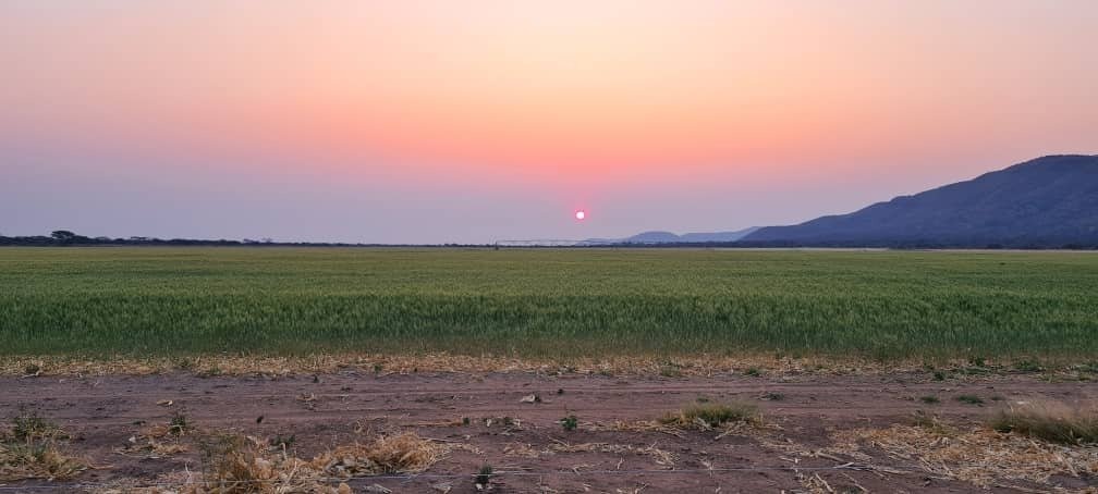 10,000 Ha Farm For Sale In Otavi In Otavi, Otjozondjupa Region, Namibia ...