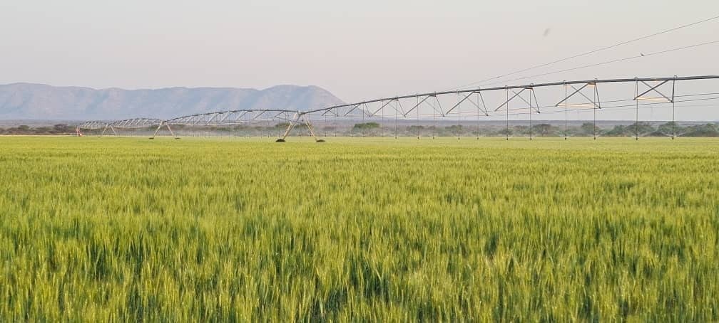 10,000 Ha Farm For Sale In Otavi In Otavi, Otjozondjupa Region, Namibia ...