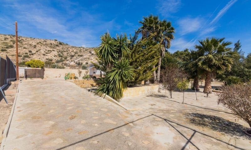 Elche Villa In Elx / Elche, Valencian Community, Spain For Sale (15028380)