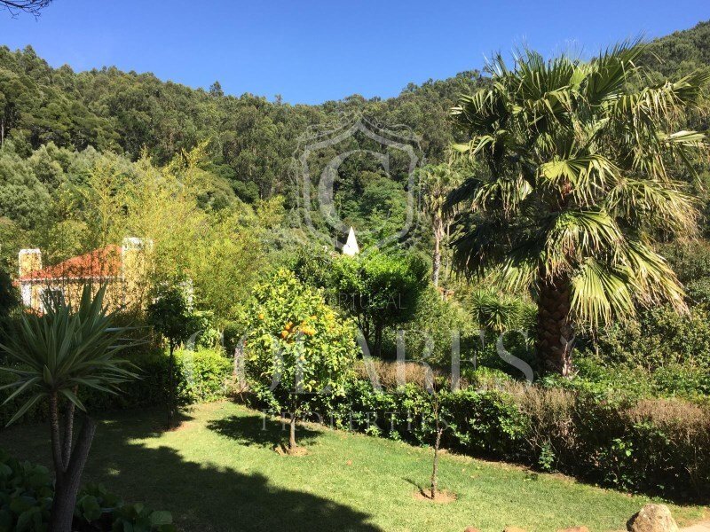 Farm 4 Bedrooms Duplex Sale Sintra In Sintra, Lisbon, Portugal For Sale ...