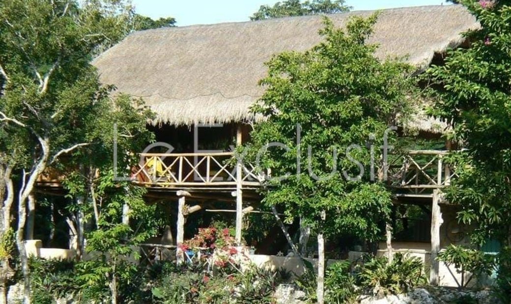 House With Cenote In San Martín, Quintana Roo, Mexico For Sale (15023242)