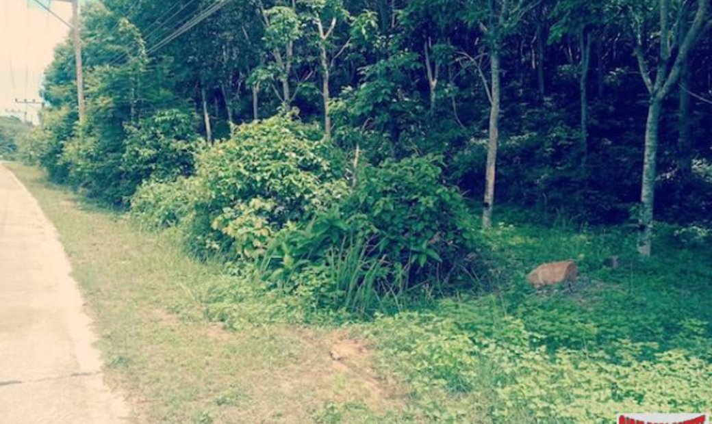 Easy Sloping Land Plot With Sea Views Of Phang Nga Bay In Phang Nga, Thailand For Sale (15054224)