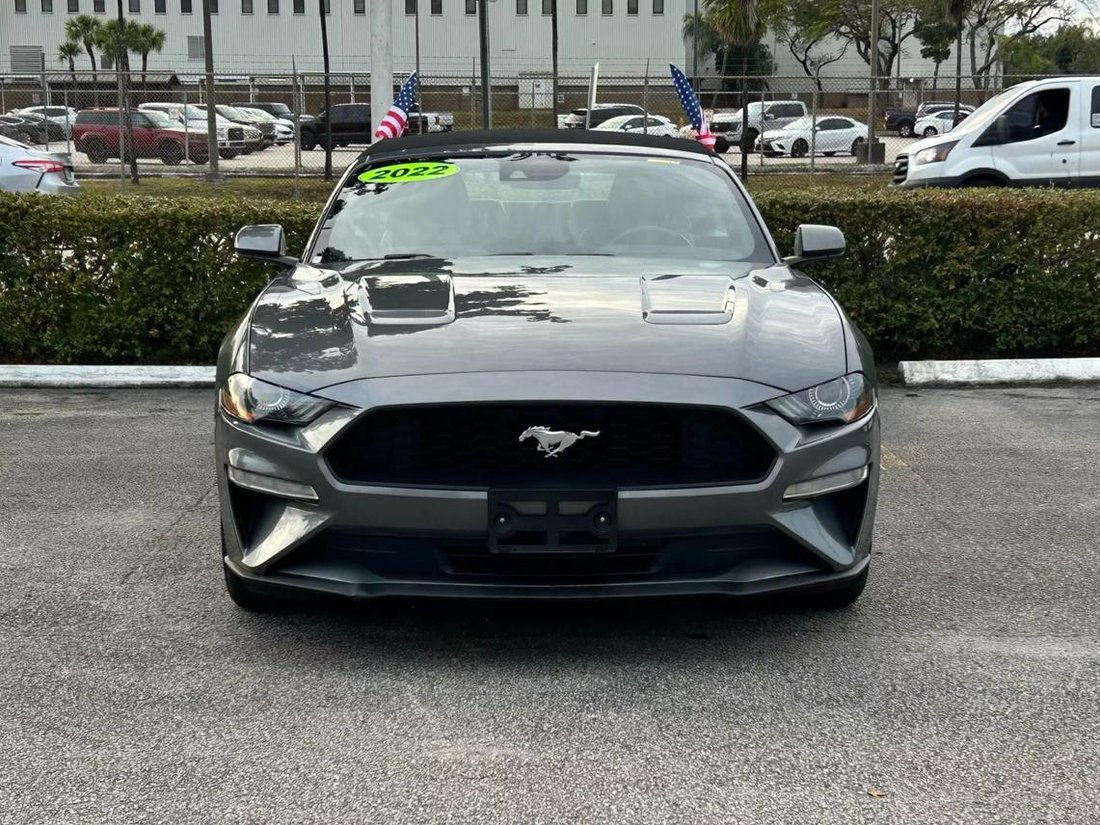 2022 Ford Mustang In Miami, Fl, United States For Sale (15047979)