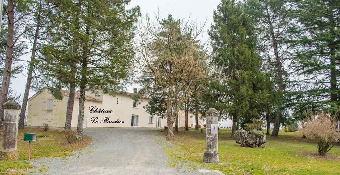 Bordeaux Superior Wine Estate In Maransin, Nouvelle Aquitaine, France ...