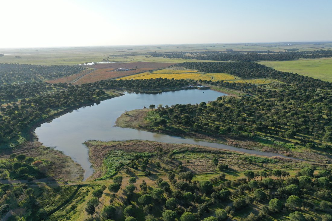 Magnificent Estate With 81.5 Hectares, In Messejana, Beja District ...
