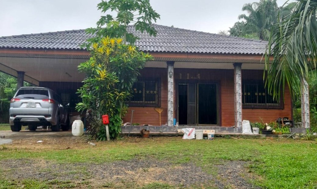 Almost 40 Rai Of Palm & Rubber Plantation Land With In Phang Nga, Thailand For Sale (15067554)