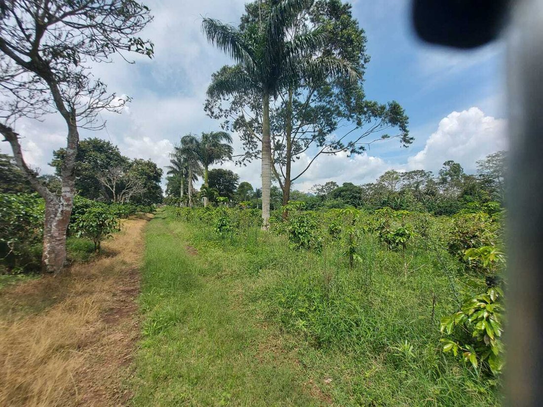 Land For Sale In Naranjo, In Naranjo De Alajuela, Alajuela Province ...