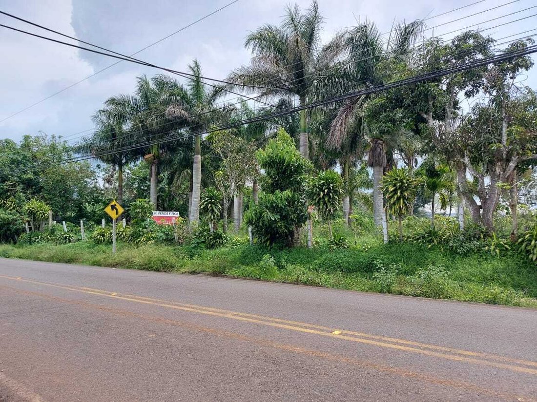 Land For Sale In Naranjo, In Naranjo De Alajuela, Alajuela Province ...